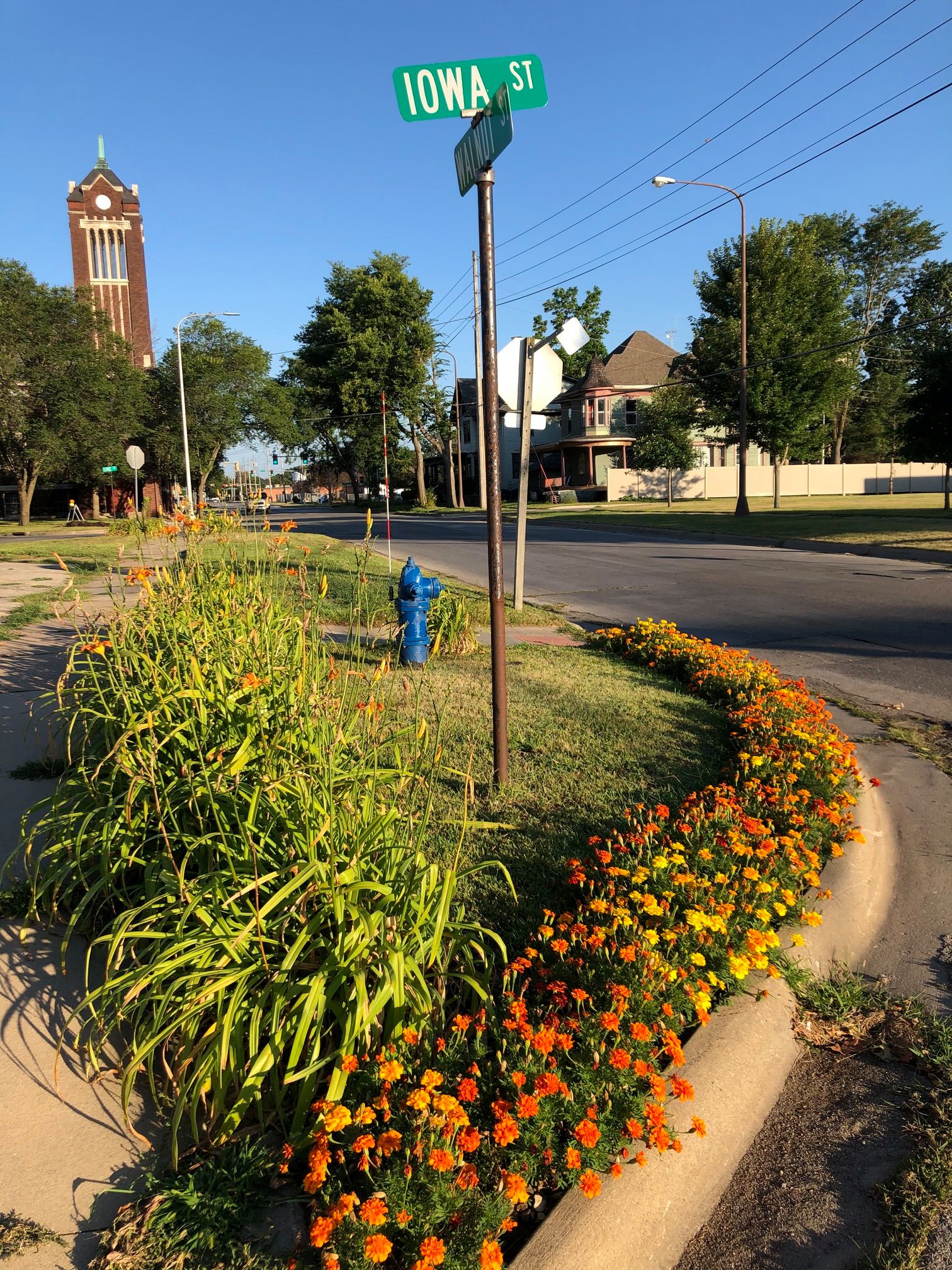 Cityscape Distribution - IOWA League